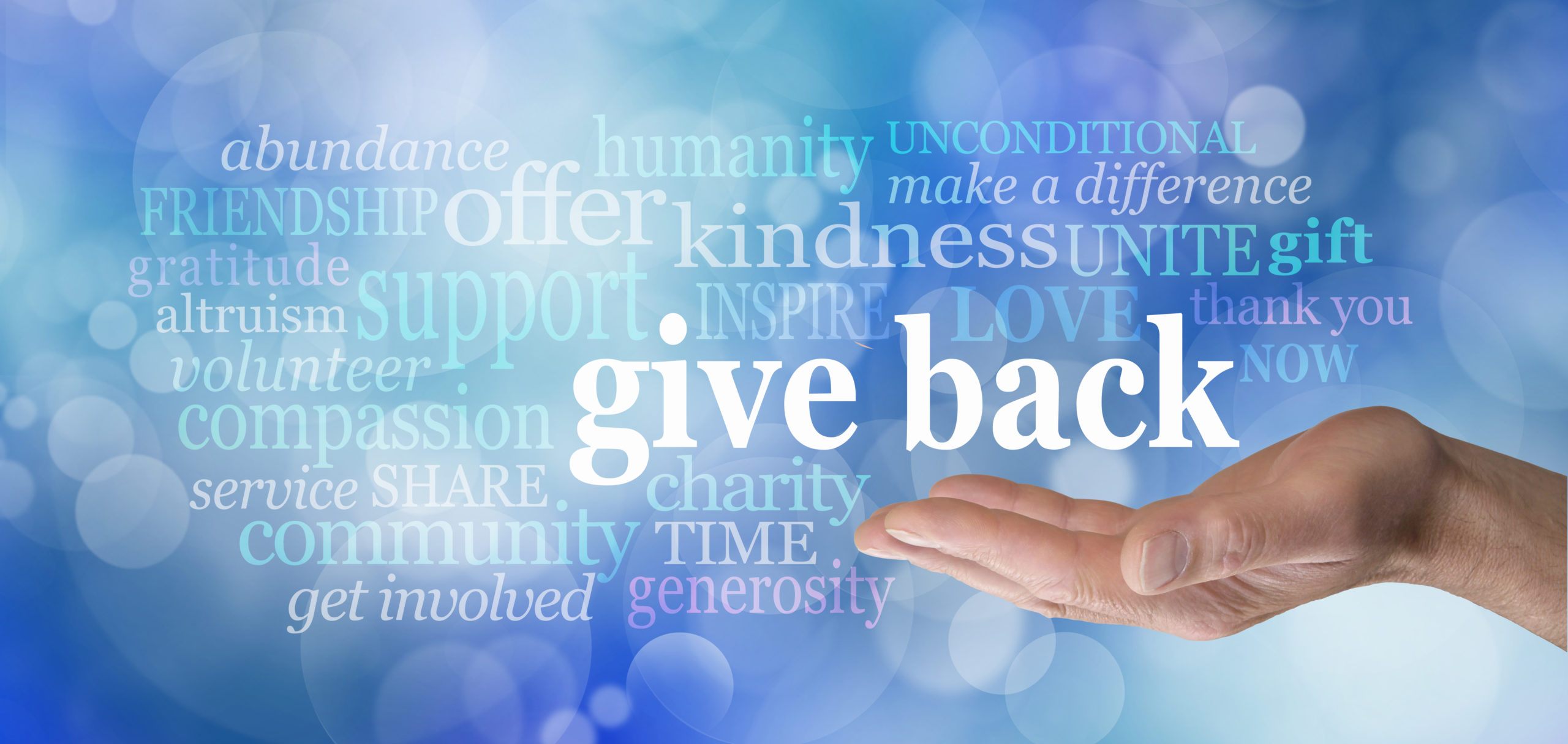How to "Give Back" This Holiday Season - Sun Bear Realty